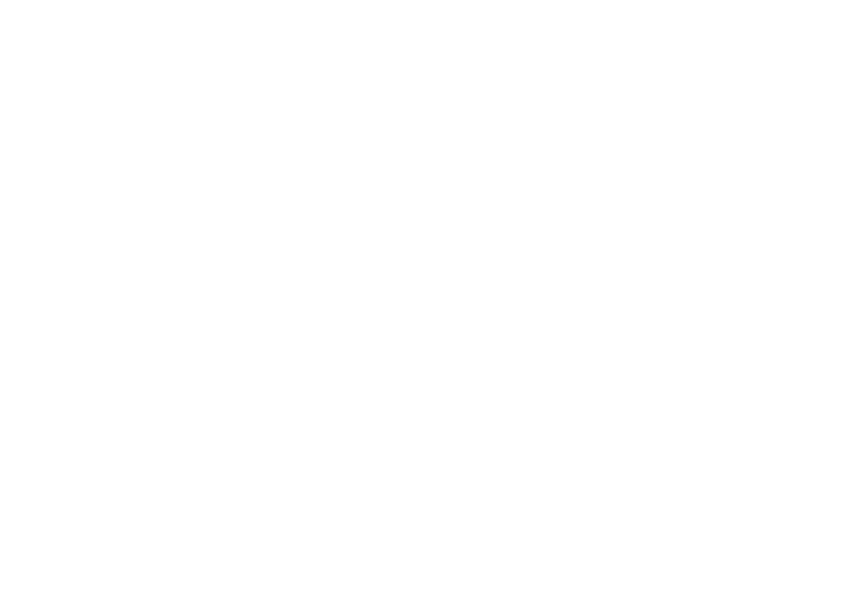 MESSMER - Arena Futuroscope